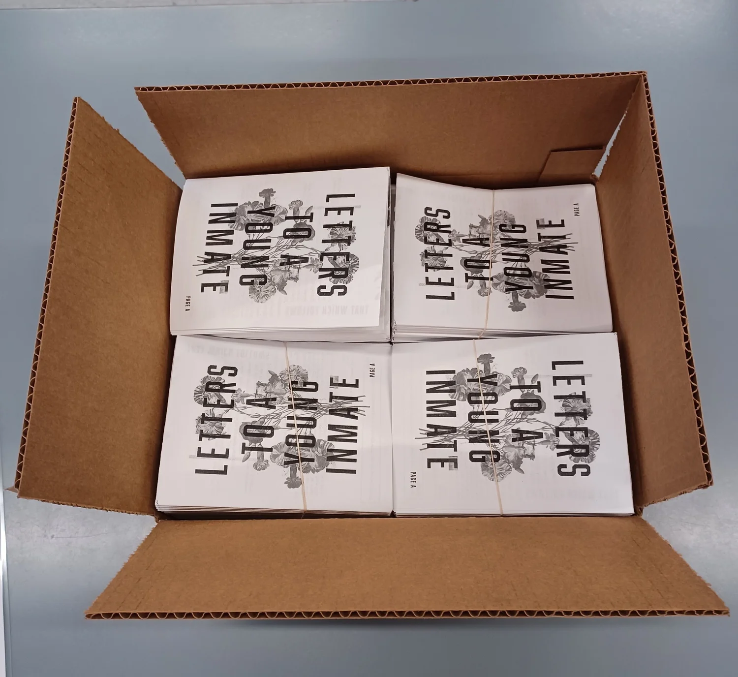 Letters to a Young Inmate — Underground Writing