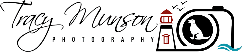 Pet Photo Blog — Tracy Munson Photography