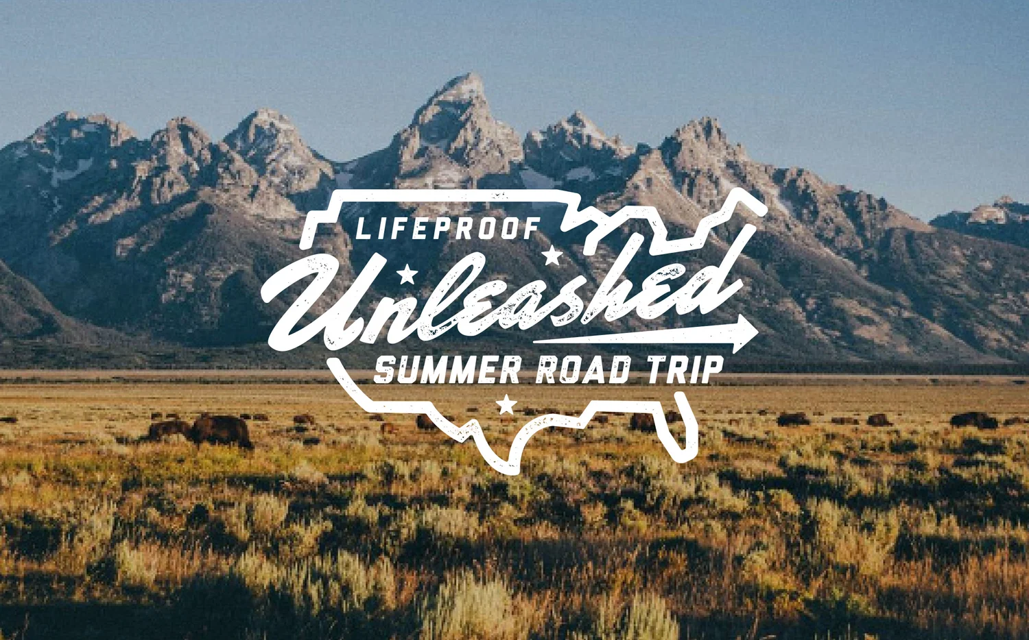 LifeProof Assorted Logos & Icons — Steve Hamaker - Brand Designer