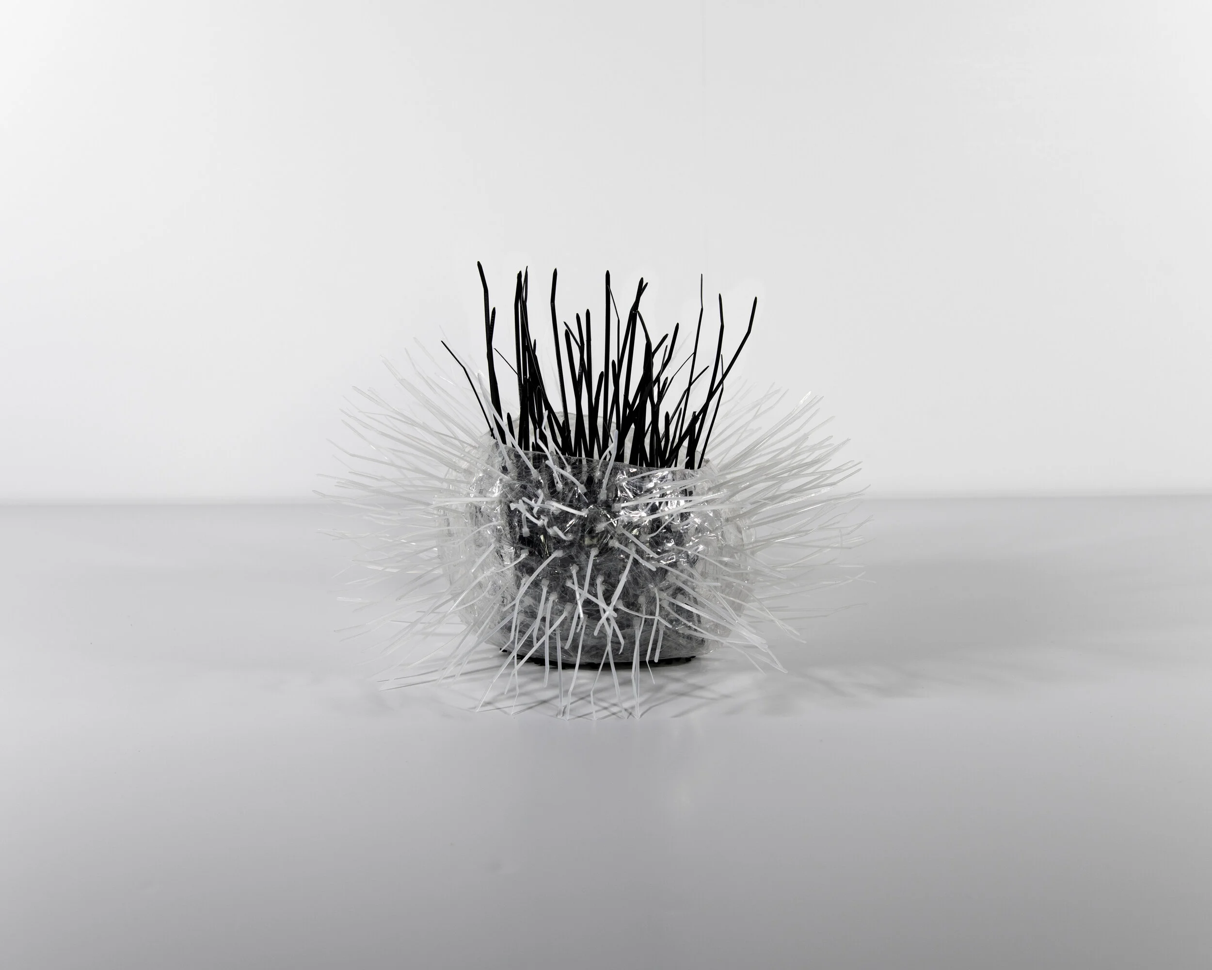 PhotoGallery for Elaine Cohen — Monica Leal Cueva