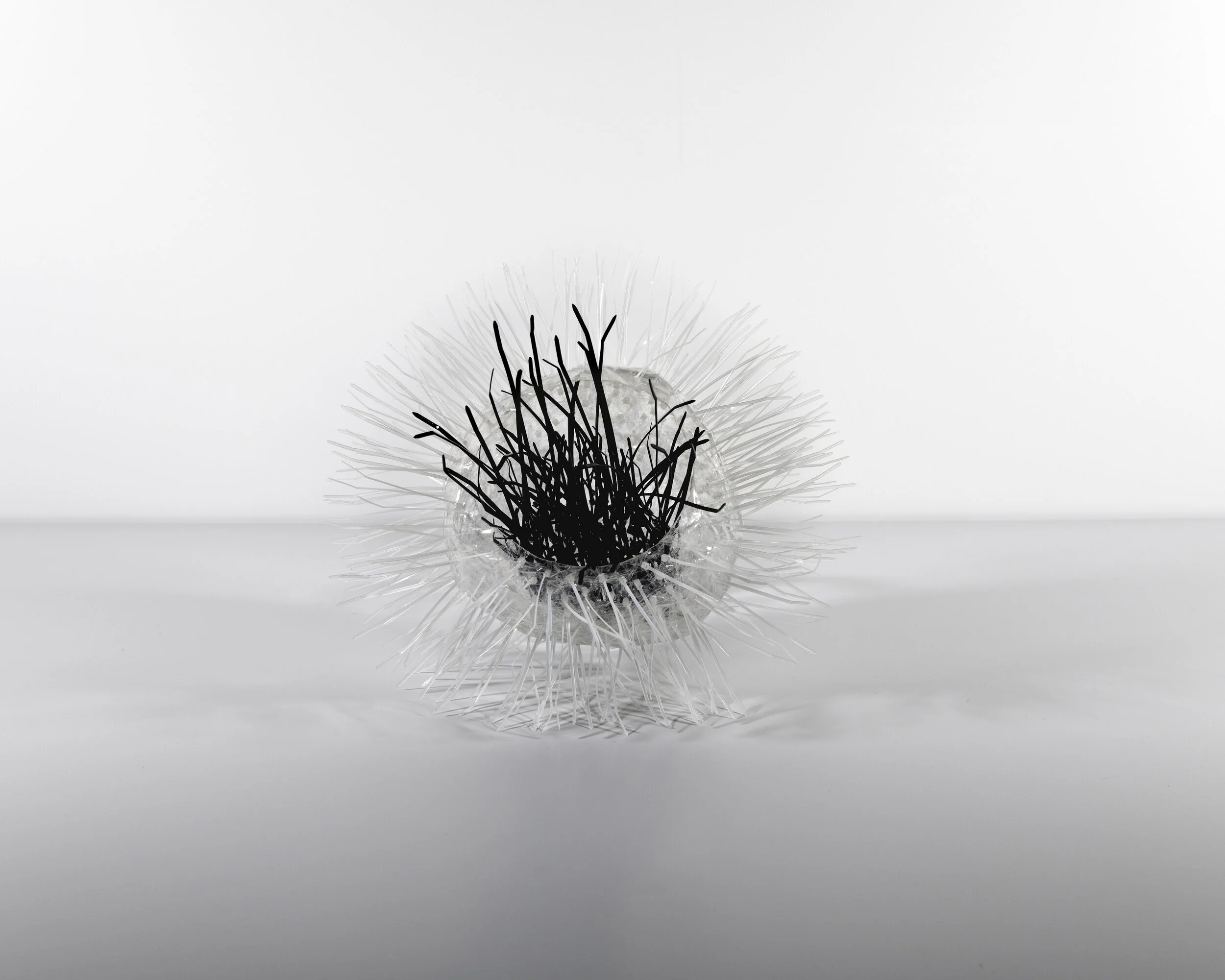 PhotoGallery for Elaine Cohen — Monica Leal Cueva