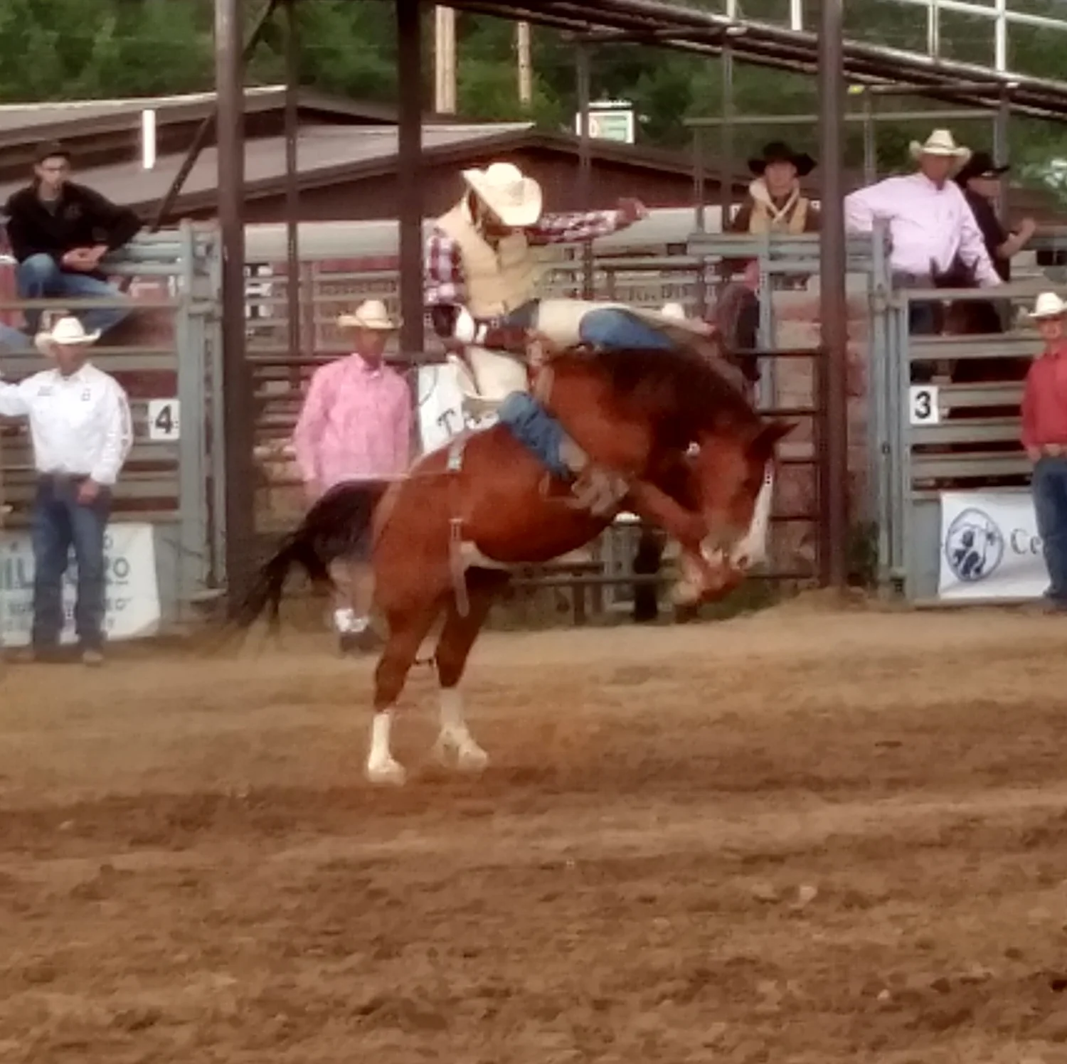 Gallery — New Mexico Rodeo Association