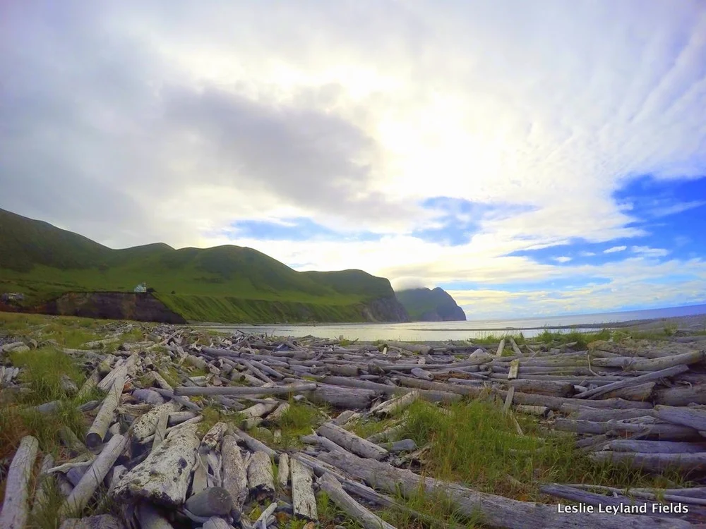 Surviving Kodiak's Heat Wave: And "I Want It All" — Leslie Leyland Fields