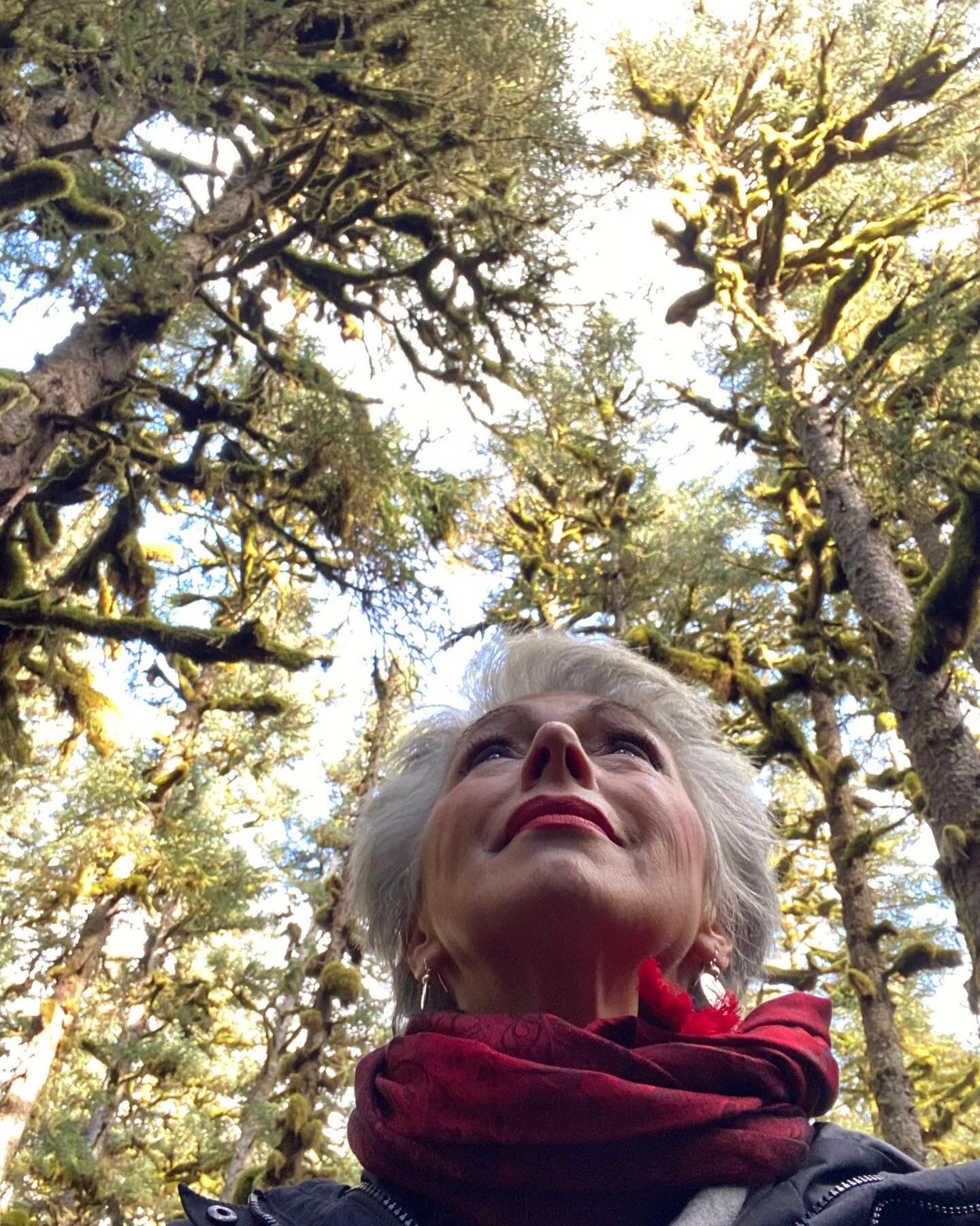 Leslie Leyland Fields