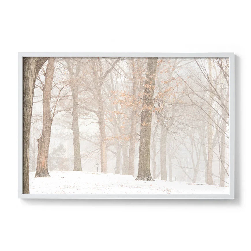 Snowscape — Ante Badzim