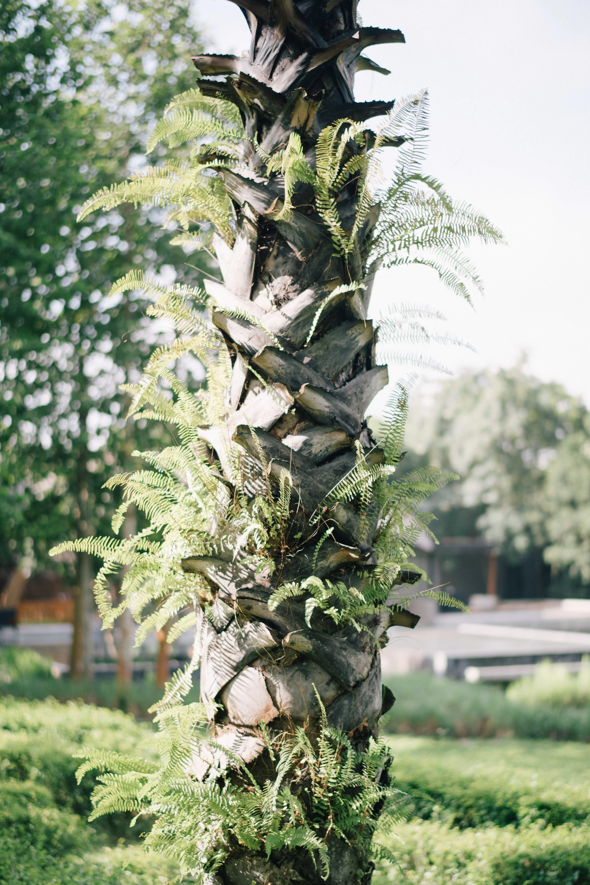 Sarah & Lance — everAFTER magazine