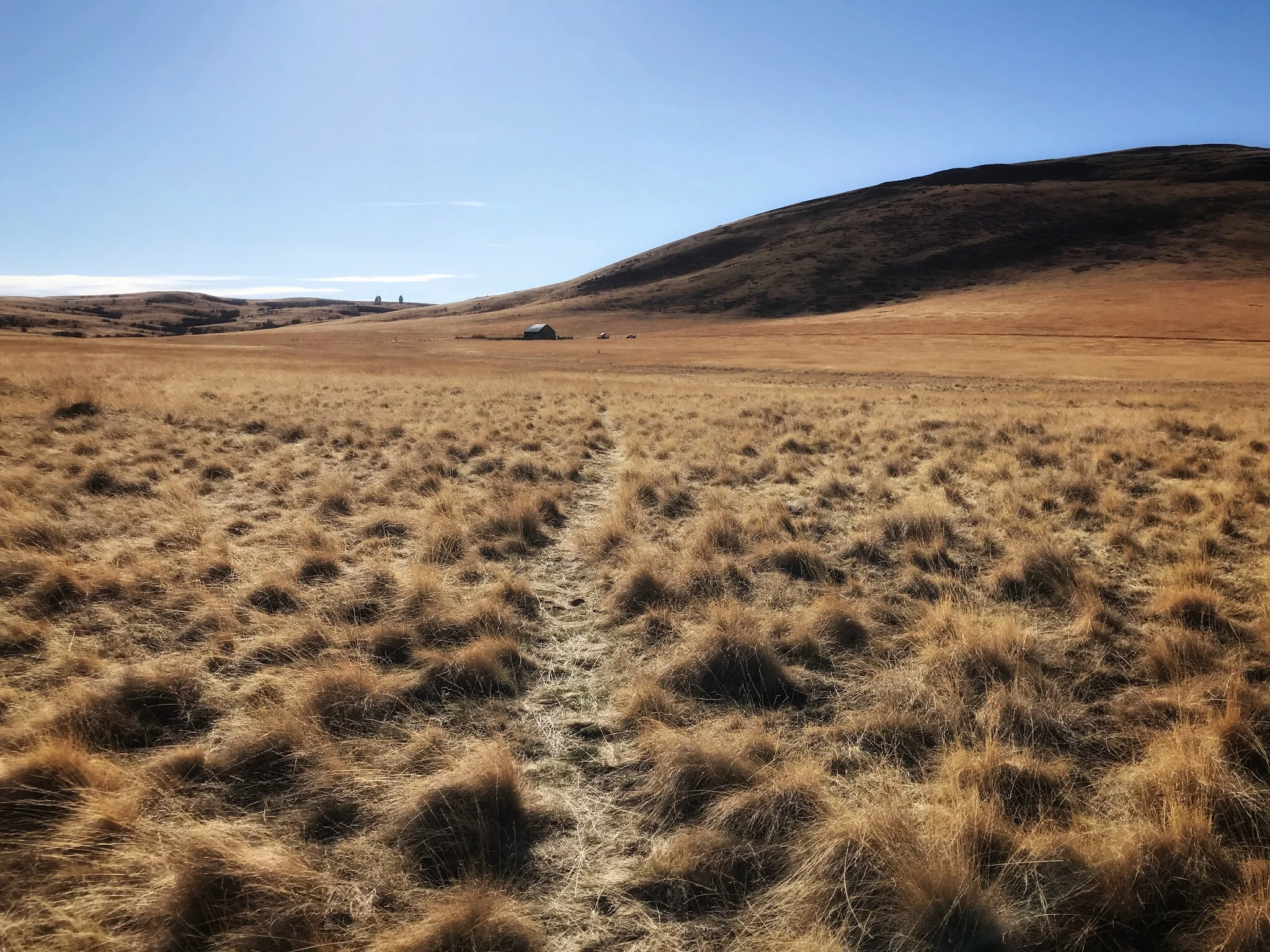 Zumwalt Part II — Alyse Lansing - Landscape Design, and Garden ...