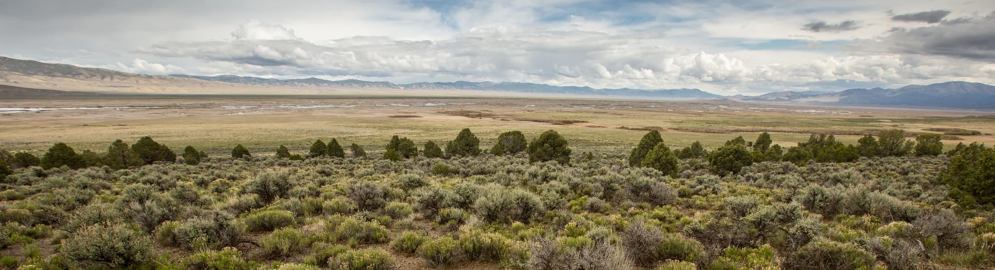 Great Basin Bird Observatory