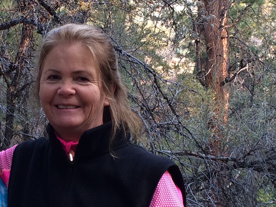 GBBO Board Gallery — Great Basin Bird Observatory