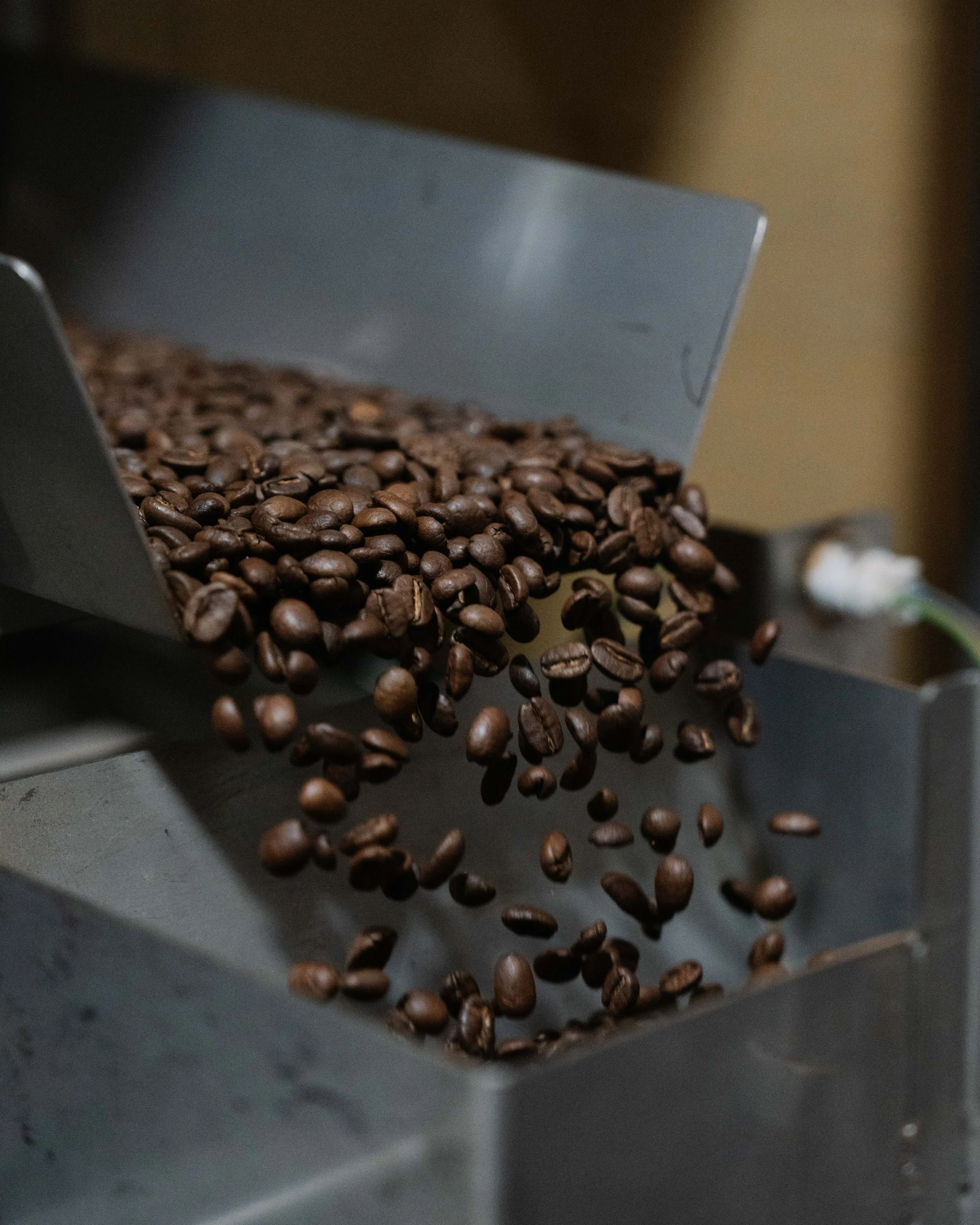 Office Orders | Leftfield Coffee Roasters | Coffee Roasters Perth