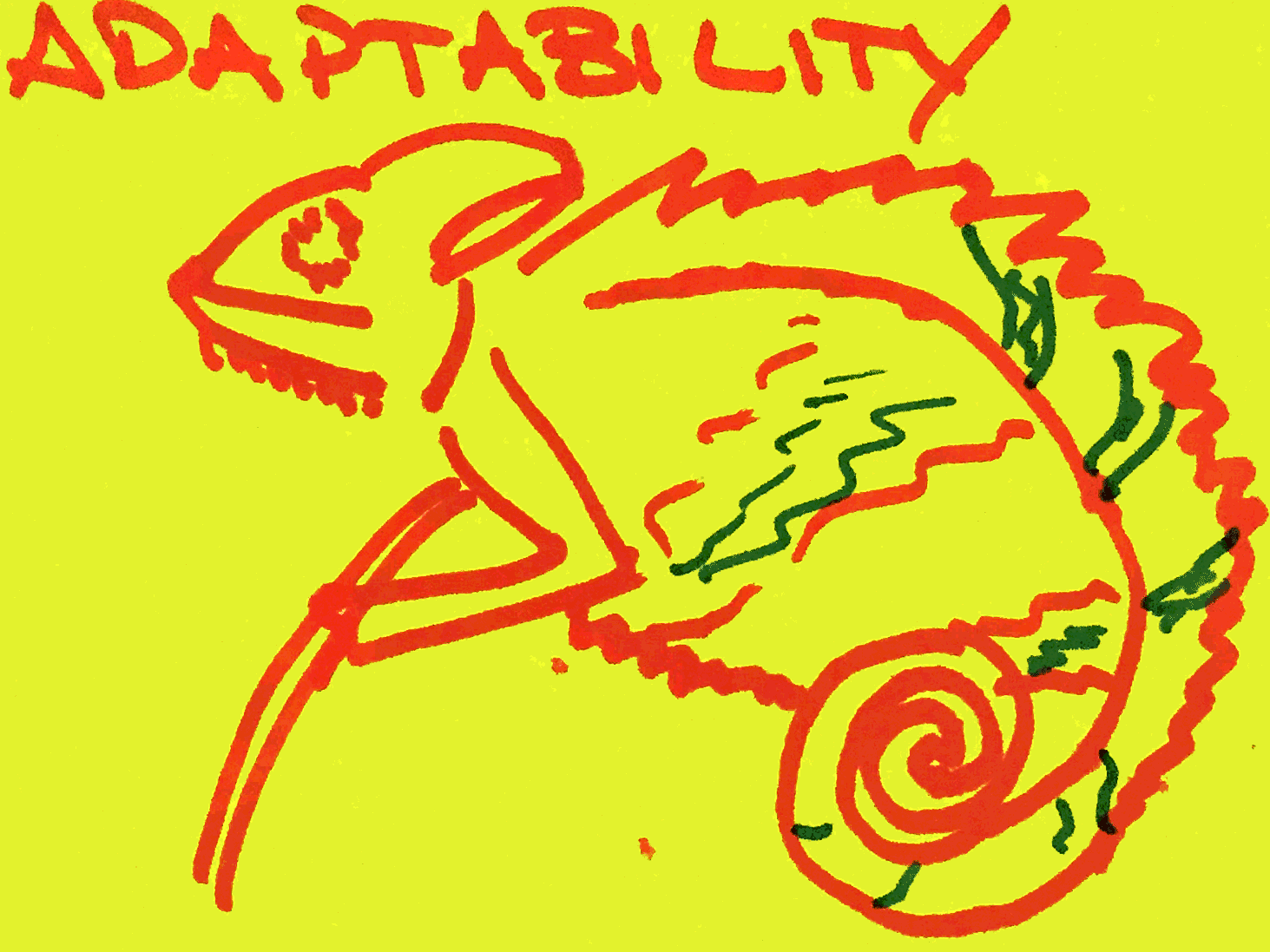 Adaptability StrengthsFinder | Strengths School™