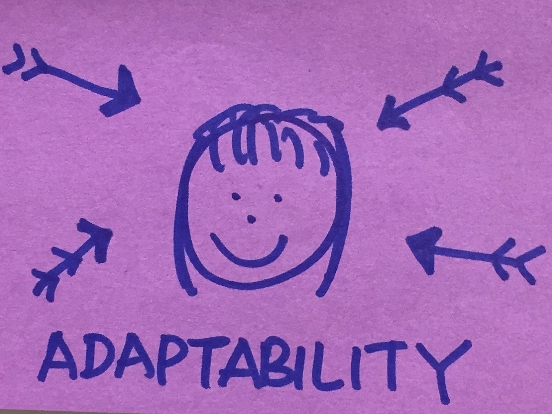Adaptability StrengthsFinder | Strengths School™