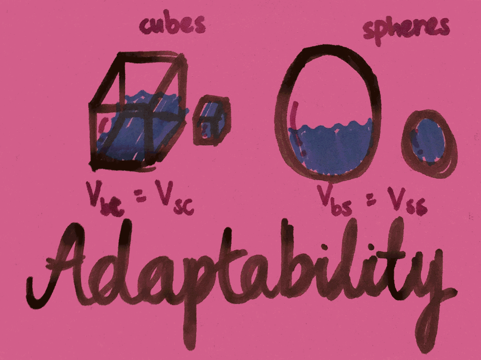 Adaptability StrengthsFinder | Strengths School™