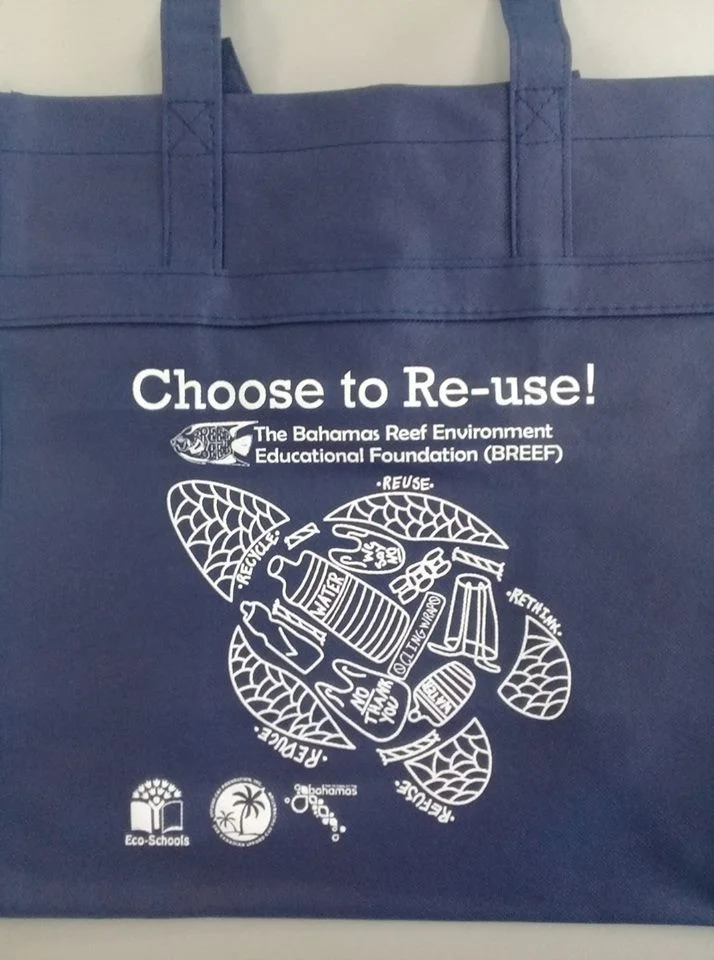 Eco-Schools in Bahamas "Engaging Young People to Reduce Plastic ...