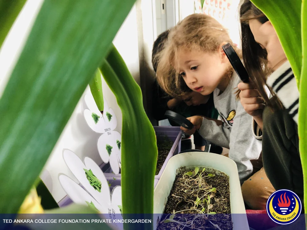 Turn Waste into Art! — Eco Schools