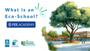Eco Schools — Eco Schools