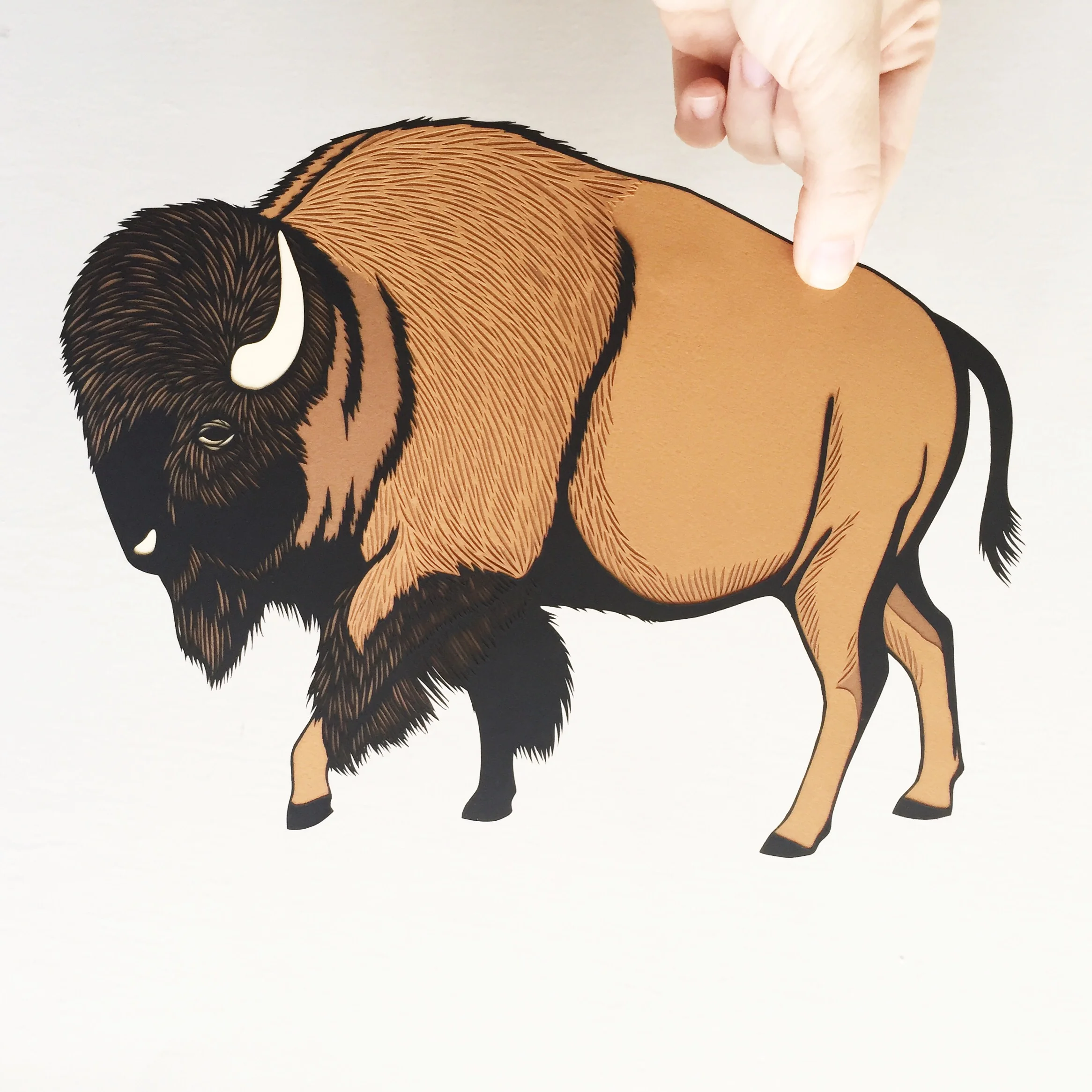 Portfolio - bird mafia