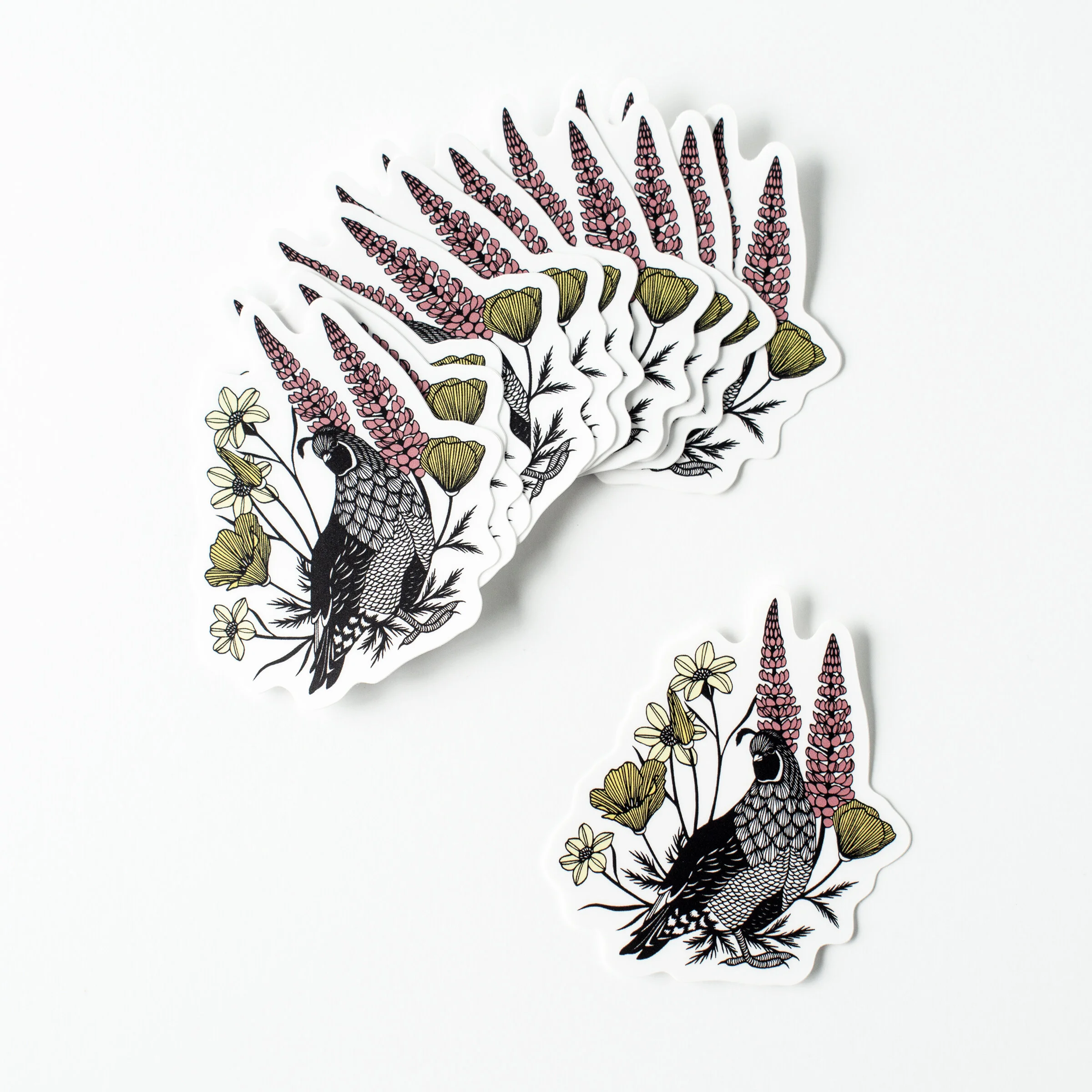 Quail sticker - bird mafia