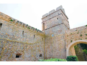 Castelo Lanza, Sicily | Root of Sweet Potato — Dalya Luttwak