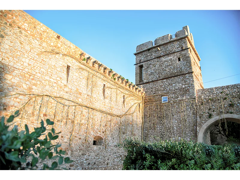 Castelo Lanza, Sicily | Root of Sweet Potato — Dalya Luttwak