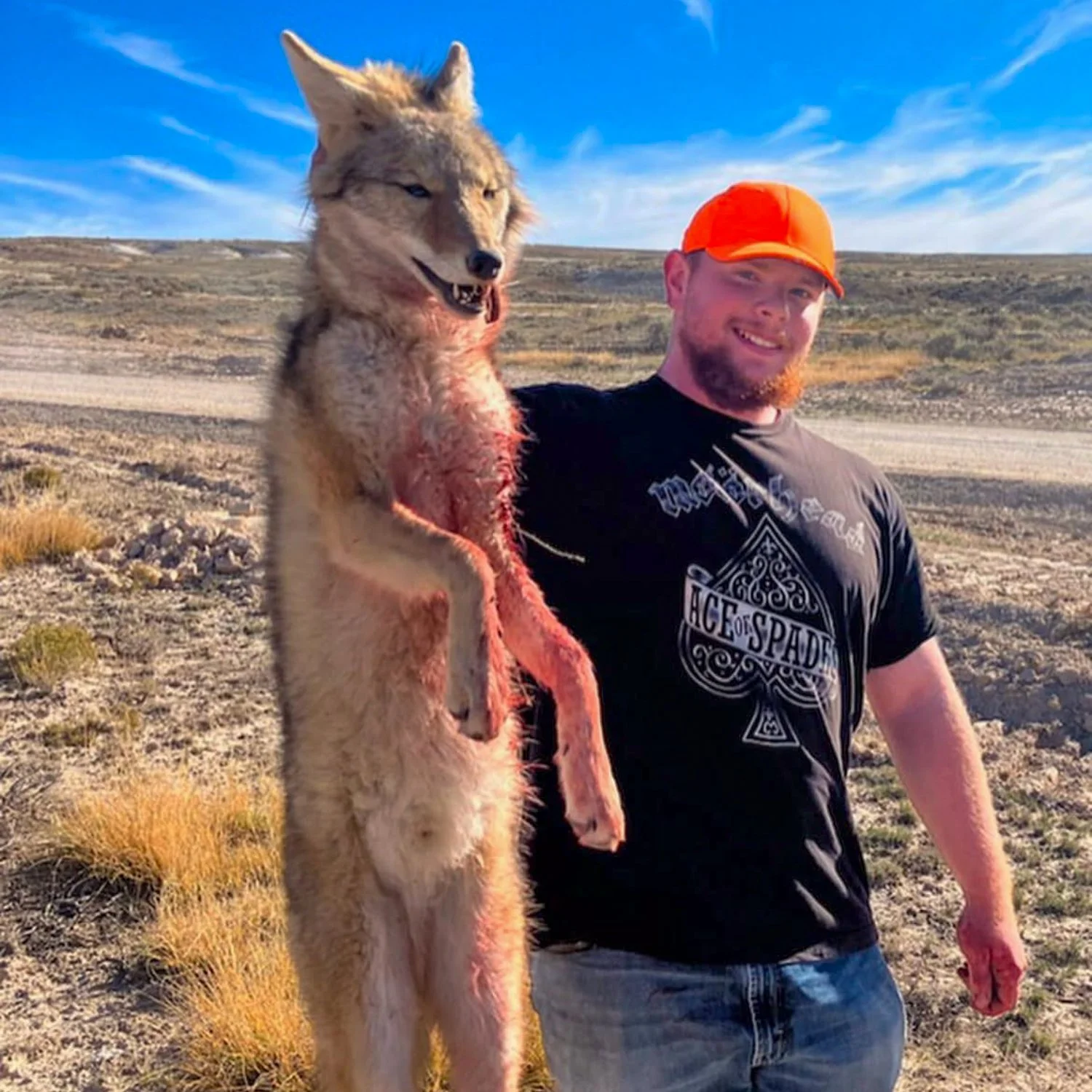 The Wildlife Gallery Tannery