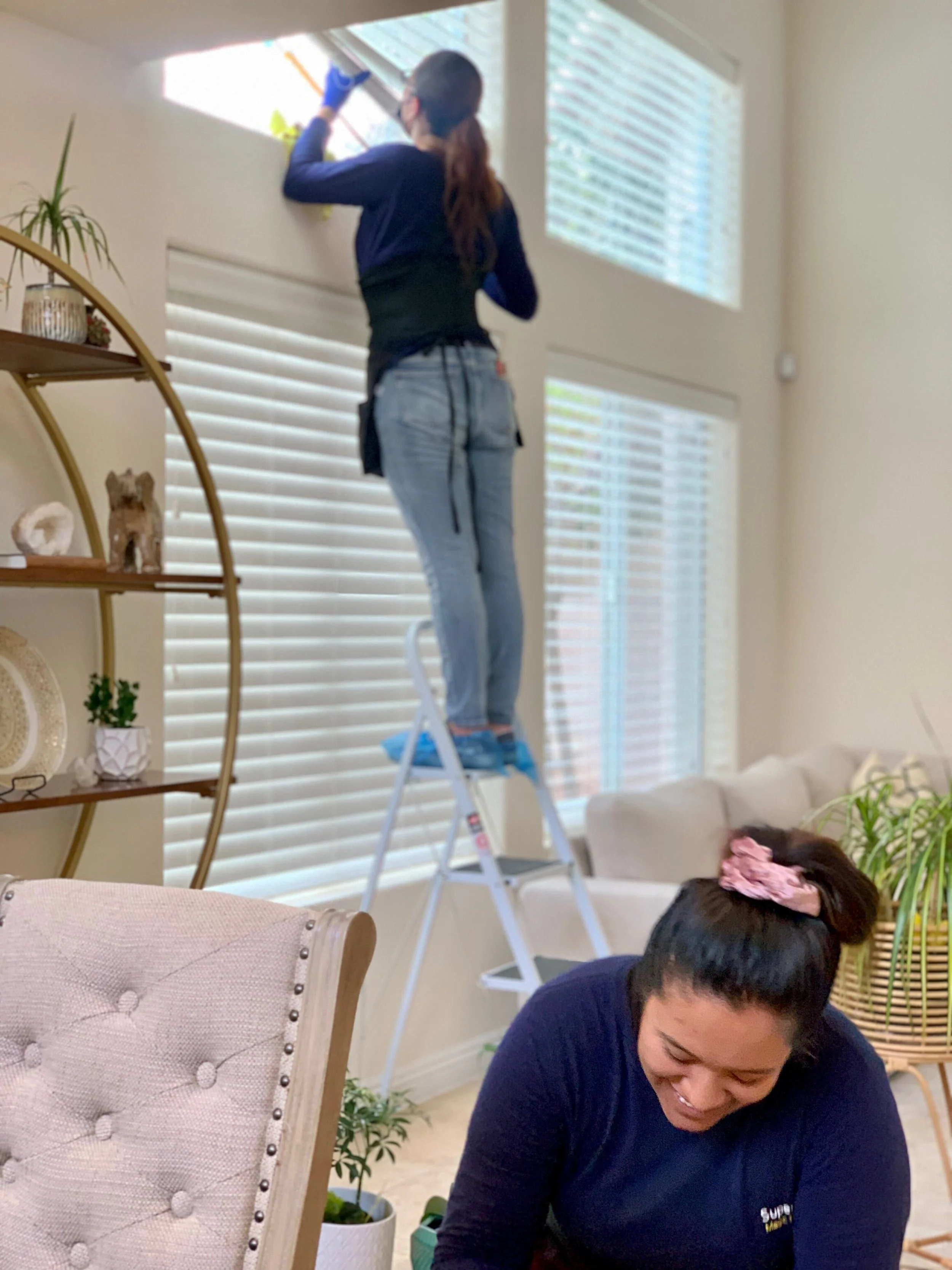 Pro Cleaning Services