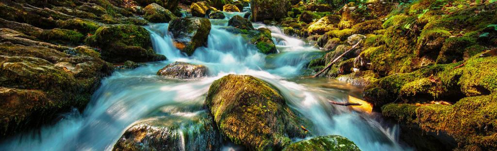 Transformative Conversations Consulting