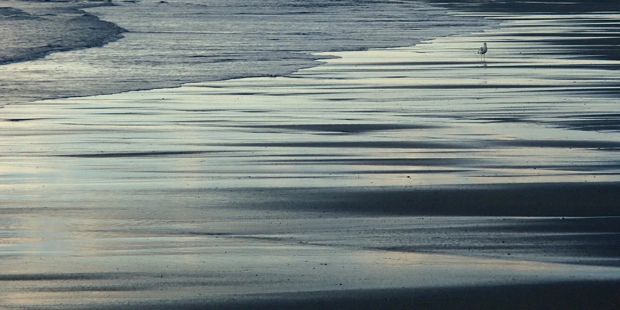 About Me — Christopher W. Gowans/ Philosophy/ Fordham