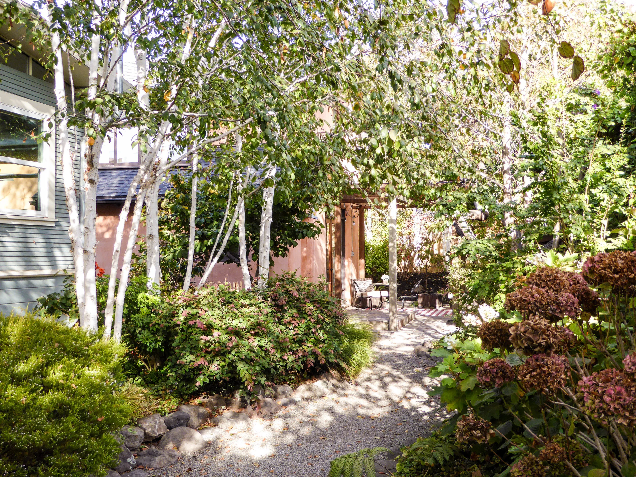 Berkeley Cottage — DSA Architects