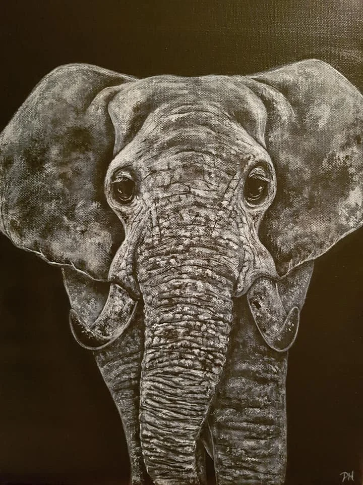 Animal Portraits — Ivy Newport