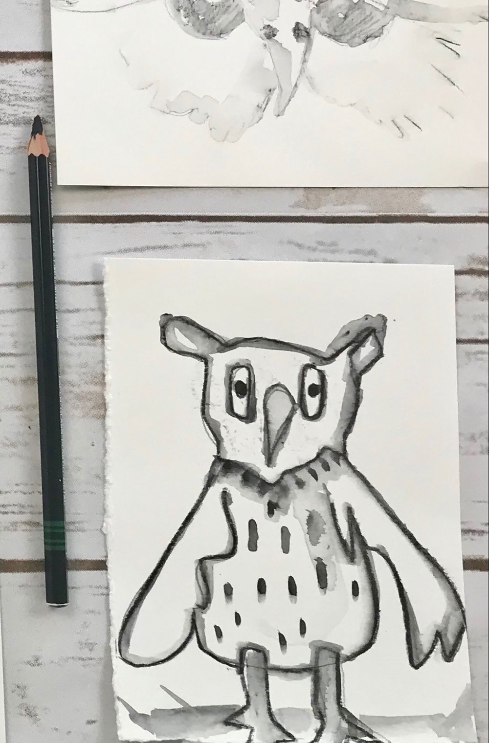 Owlology — Ivy Newport