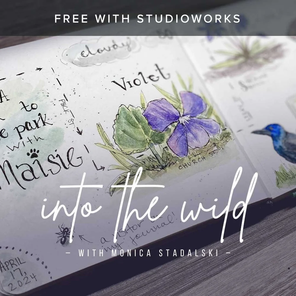 Into The Wild with Monica Stadalski — Ivy Newport