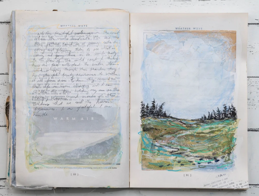 Wild Coast Trees - Nicole Warrington — Ivy Newport