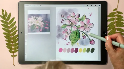 Drawing With Procreate - with Eris Klein — Ivy Newport