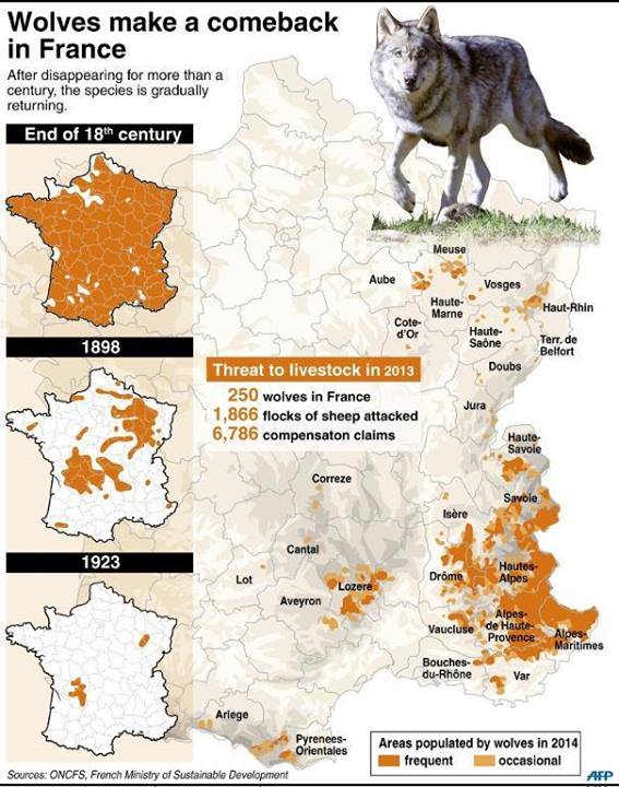 News - Some bad news for French wolves! — John Rowell Photography