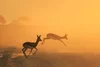 Interview - Andries Alberts — John Rowell Photography
