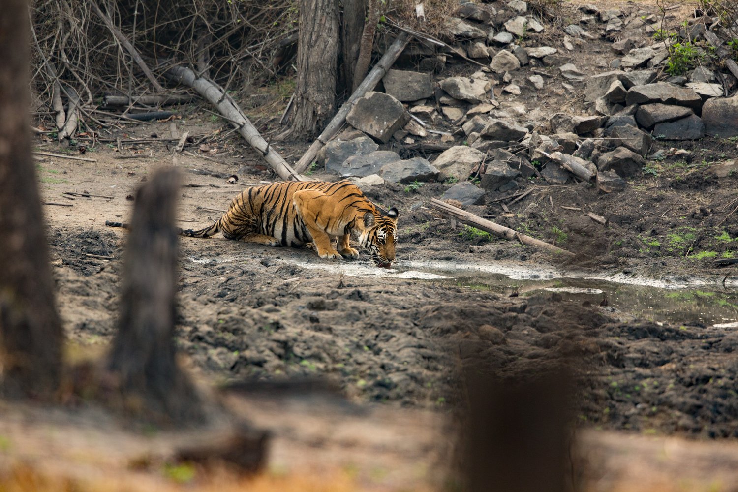 Adding depth to an image — John Rowell Photography