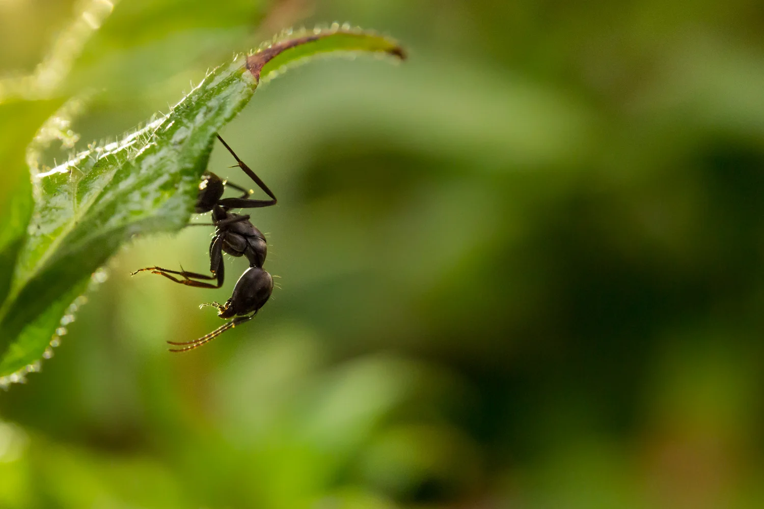 What you need to upgrade! — John Rowell Photography