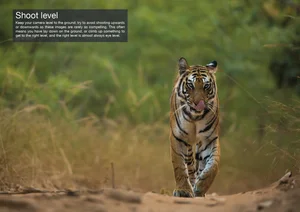 03 - Shoot level — John Rowell Photography