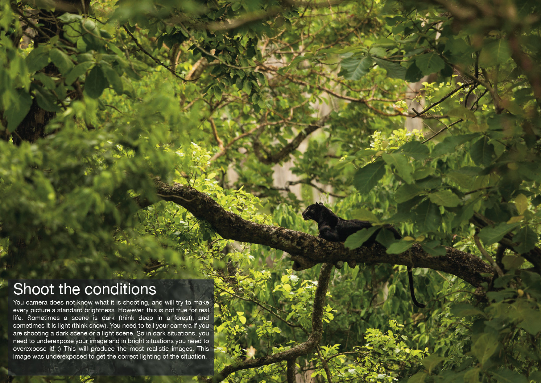 04 - Shoot the conditions — John Rowell Photography