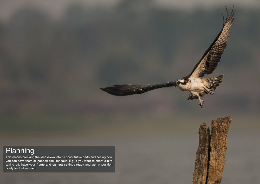 10 - Planning — John Rowell Photography