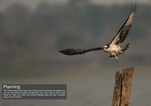 10 - Planning — John Rowell Photography