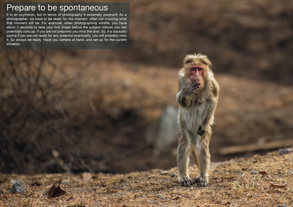 12 - Prepare to be spontaneous — John Rowell Photography