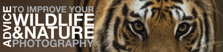 Festival International Nature Namur — John Rowell Photography