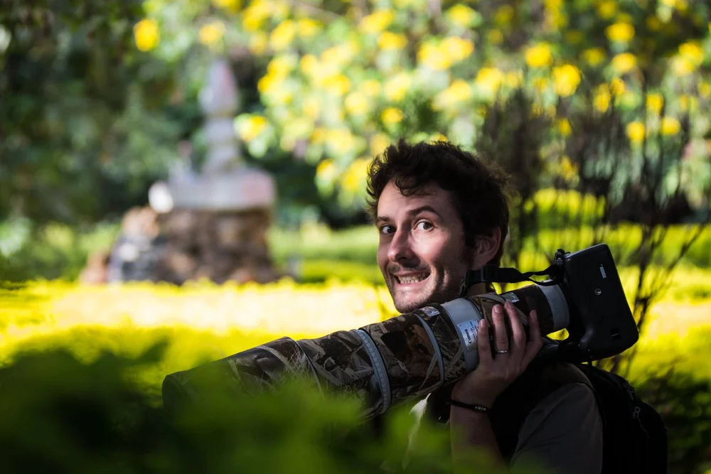 Top Tips for an Indian Safari - I — John Rowell Photography