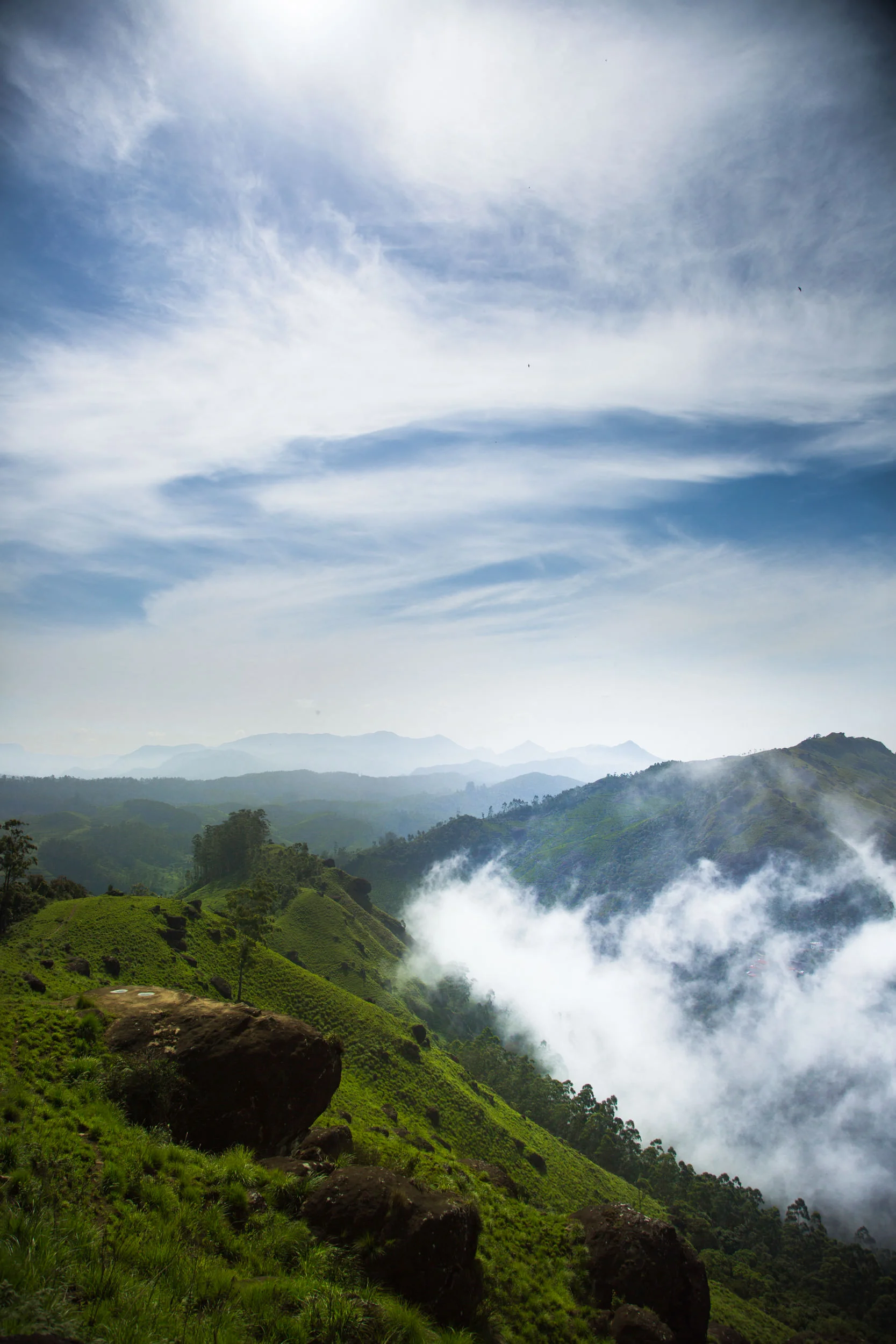 The Tea Hills of Munnar — John Rowell Photography