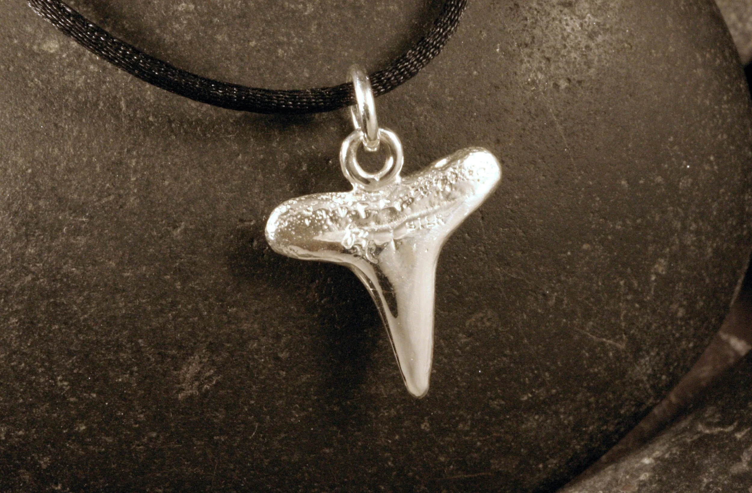 Shark Tooth Charm