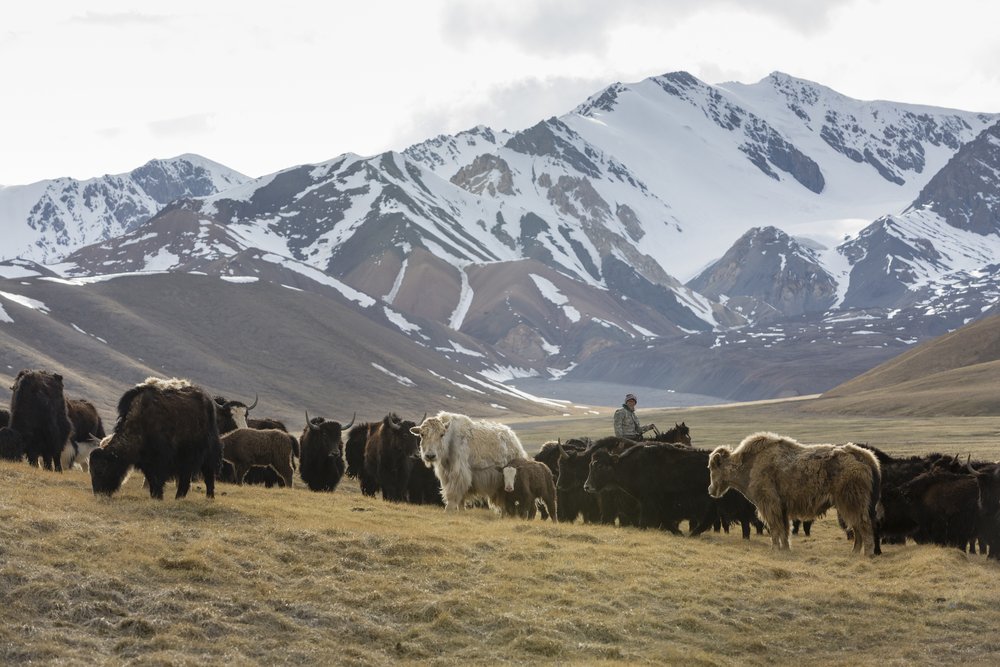 At The Top Of The World — Andy Isaacson