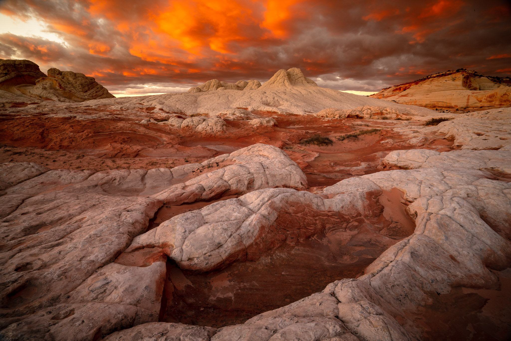 Jason Hatfield Stills & Motion