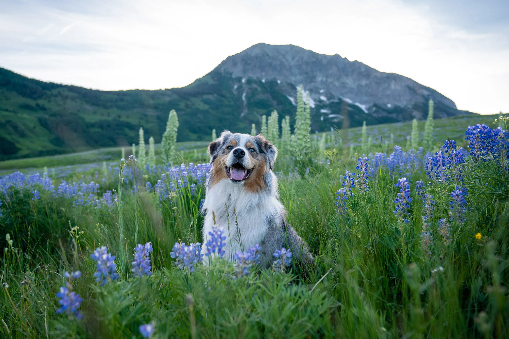 New Work — Jason Hatfield Stills & Motion